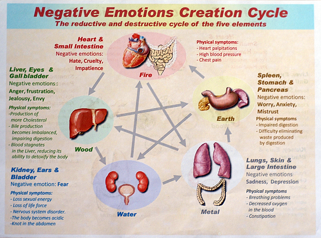 Feng Shui Tips: Emotions And The Five Elements | Catherine Hilker